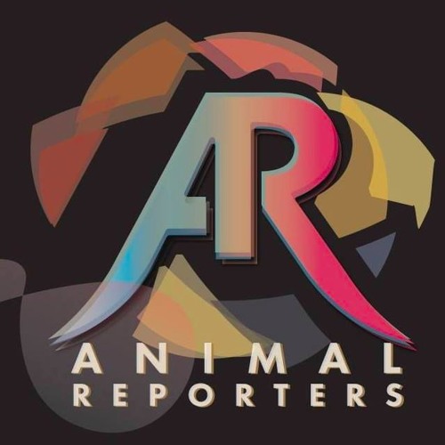 Stream Animal Reporters music | Listen to songs, albums, playlists for ...