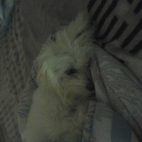 Stream Beth emoji music | Listen to songs, albums, playlists for free ...