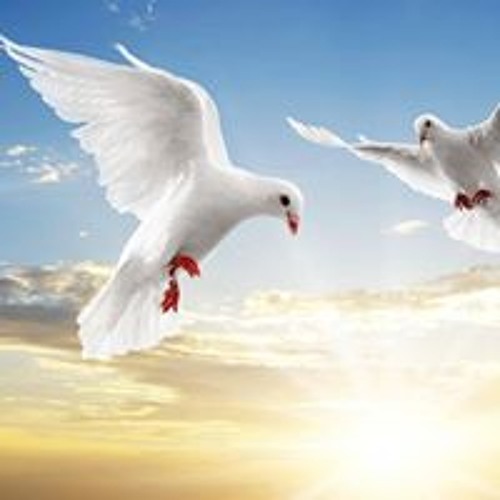 Stream Toyor Al Jannah Music Listen To Songs Albums Playlists For Free On Soundcloud