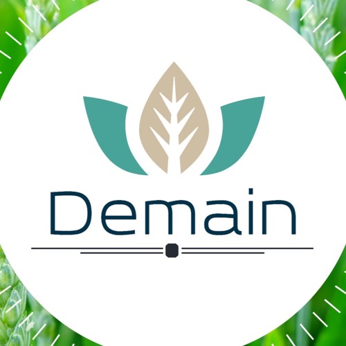 Stream Interview de Matthieu pour RadioScoop / à partir de 1'20 by Demain Supermarché | Listen ...