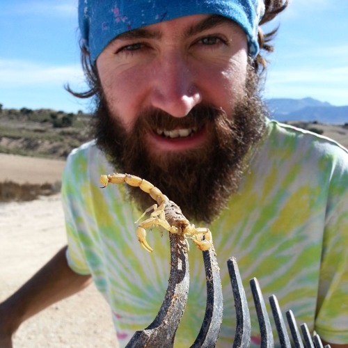 Stream Desert Viking music | Listen to songs, albums, playlists for ...