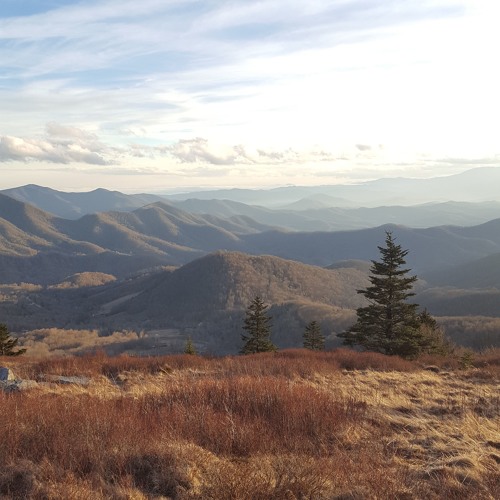 Stream Tyler Bourgeois music | Listen to songs, albums, playlists for ...