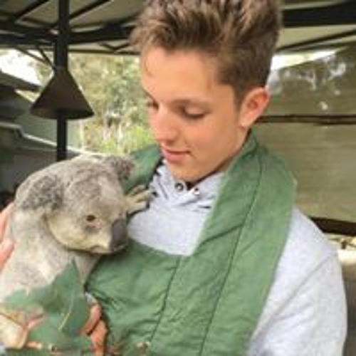 Stream Renegade Master Loop by Matthew Robotham | Listen online for ...