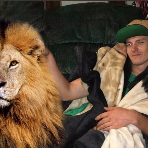 Stream Ryan Triplett music | Listen to songs, albums, playlists for ...