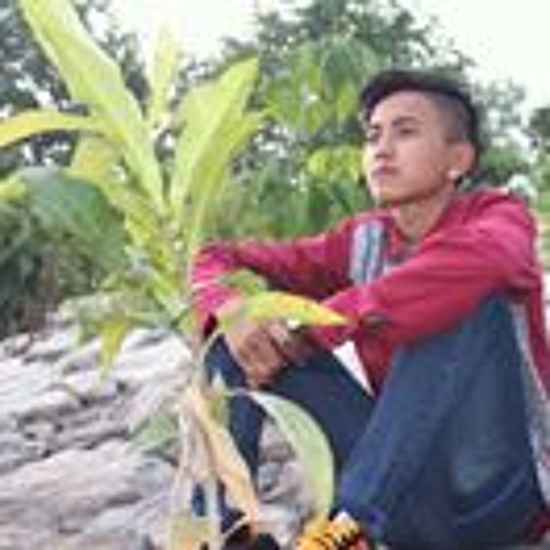 Stream alif music | Listen to songs, albums, playlists for free on ...