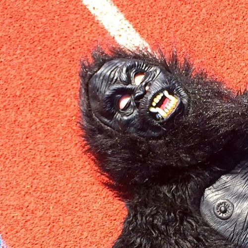 Stream Cade Barker music | Listen to songs, albums, playlists for free ...