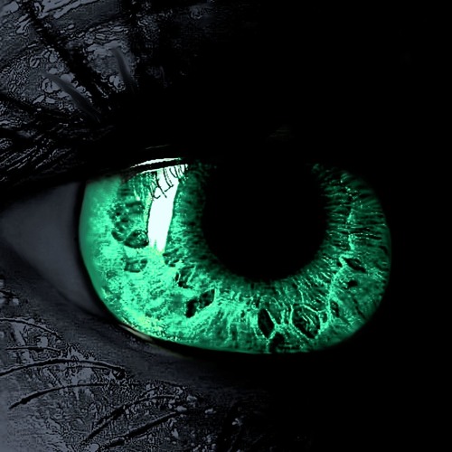 Stream Het blanke ras - De Vliegende Panters by 2MuchBass4You | Listen ...