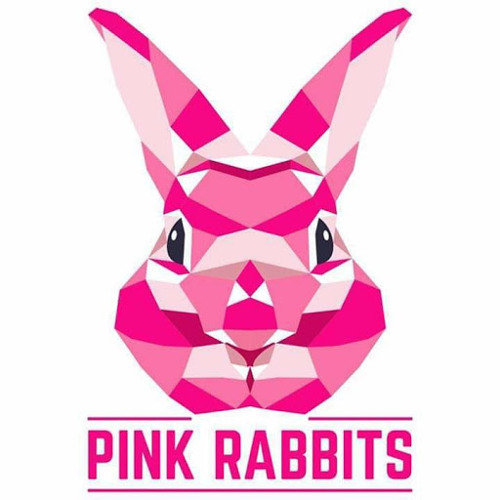 Stream Pink Rabbits Show music | Listen to songs, albums, playlists for ...