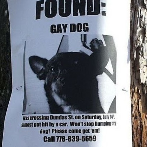 Stream Caden Sharp music | Listen to songs, albums, playlists for free ...