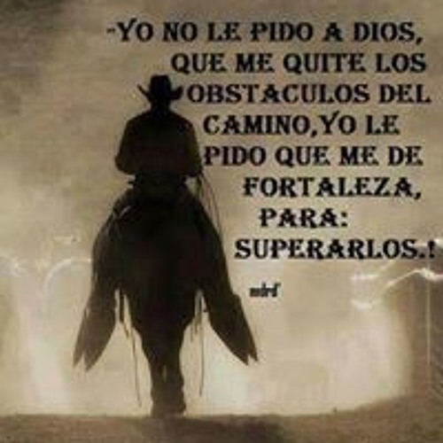 Stream William Tevez music | Listen to songs, albums, playlists for ...