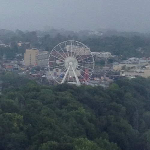 Stream njkkj music | Listen to songs, albums, playlists for free on ...