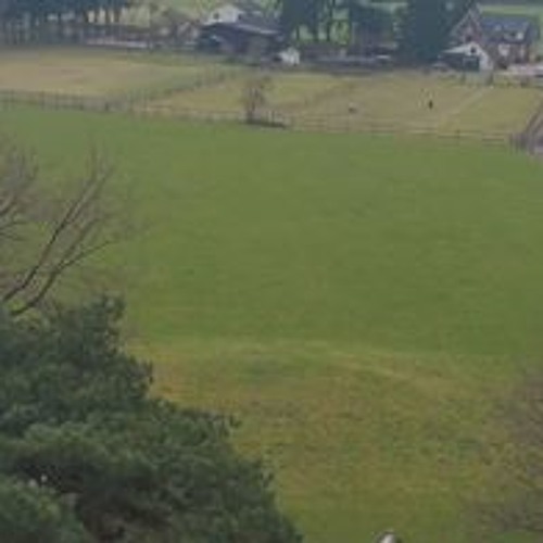 Stream Day Felipie music | Listen to songs, albums, playlists for free ...