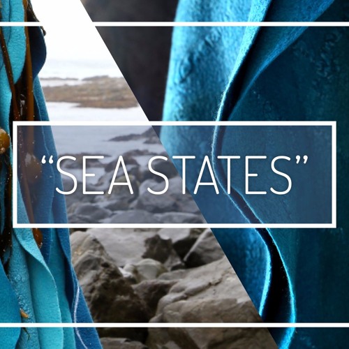 Stream Sea States Exhibition music | Listen to songs, albums, playlists ...