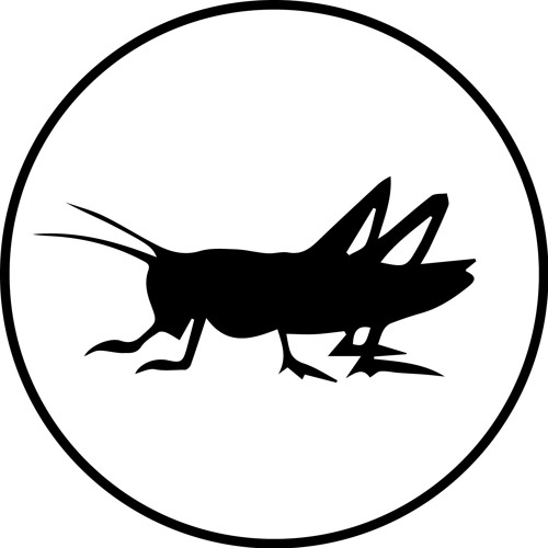 Stream O Grilo music | Listen to songs, albums, playlists for free on ...