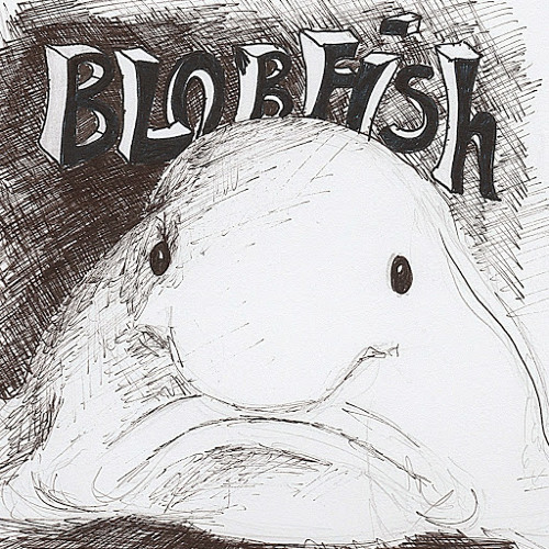 Stream Blob Fish music | Listen to songs, albums, playlists for free on ...
