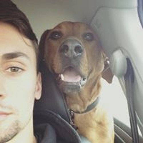 Stream Austin Shipley music | Listen to songs, albums, playlists for ...