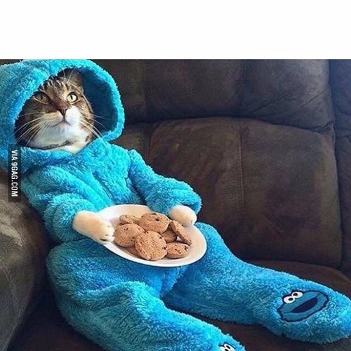 Stream Luca Hein music | Listen to songs, albums, playlists for free on ...