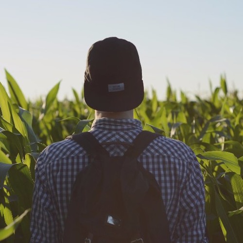 Stream leo sherlock music | Listen to songs, albums, playlists for free ...