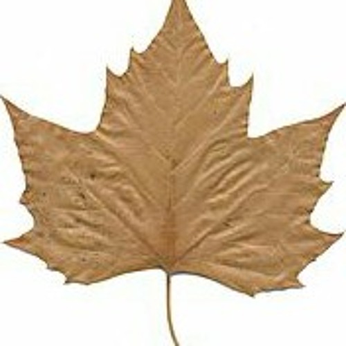 Stream Poiujkl music | Listen to songs, albums, playlists for free on ...