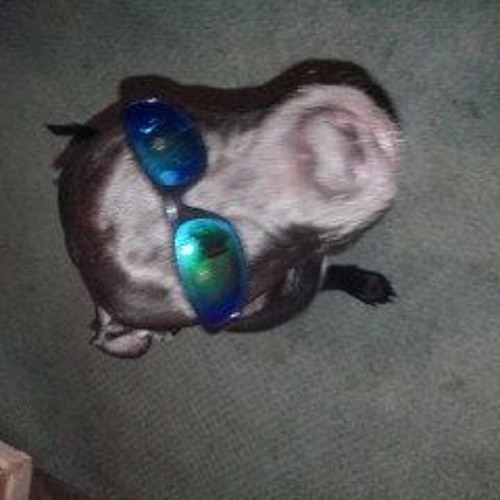 Stream skye-rose🌹 music | Listen to songs, albums, playlists for free ...