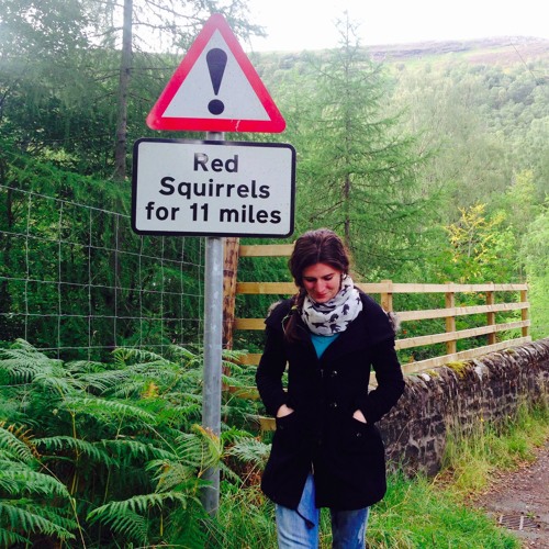 Stream Michelle Zahner -DBS Sofas by MichelleZ | Listen online for free ...