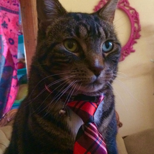 Stream Technicolour by Casey_Tatum | Listen online for free on SoundCloud