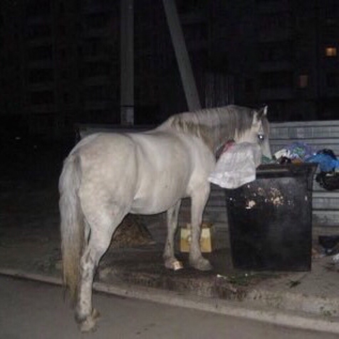 Stream 2kill4 music | Listen to songs, albums, playlists for free on ...