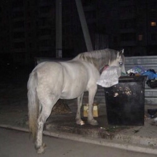 Stream 2kill4 music | Listen to songs, albums, playlists for free on ...