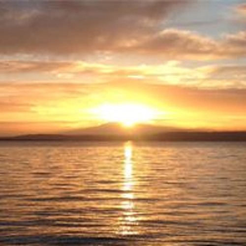 Stream Shay McDonald music | Listen to songs, albums, playlists for ...