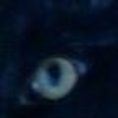 Stream Dustin Blank music | Listen to songs, albums, playlists for free ...