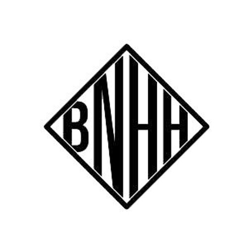 Stream BNHH_ music | Listen to songs, albums, playlists for free on ...