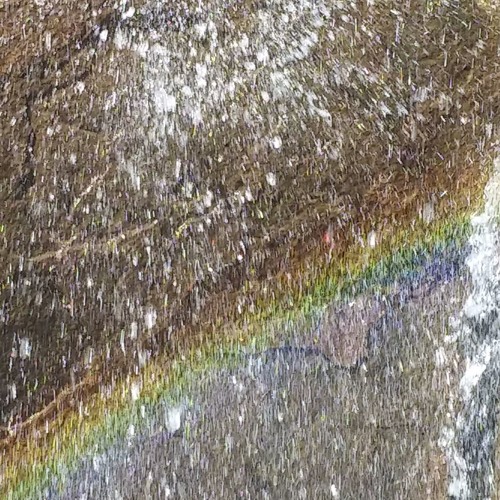 Stream Transfurter; Raccoon Goggles by Drake Sherman | Listen online ...