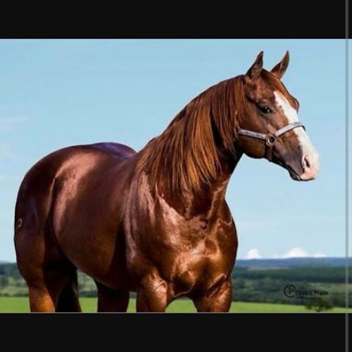 Stream TCHAU E BENÇA music | Listen to songs, albums, playlists for ...