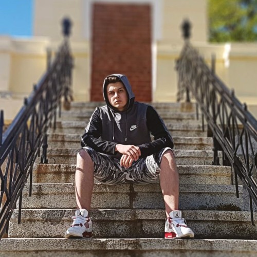 Stream Ide Zmija Kroz Sumu Trap Remix by MladenShady | Listen online ...