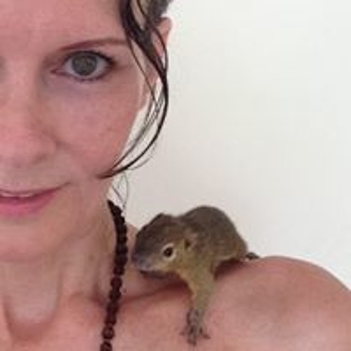 Stream Shelly Ann Reif music | Listen to songs, albums, playlists for ...