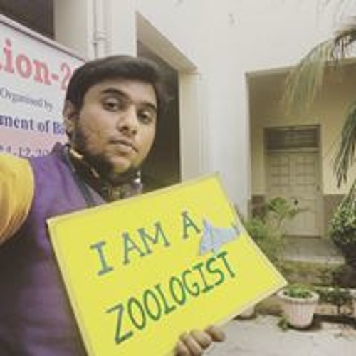 Stream JP Joshi | Listen to podcast episodes online for free on SoundCloud