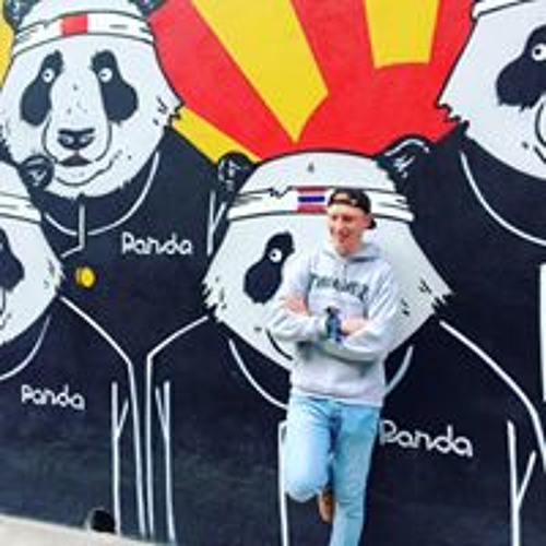 Stream Wouter Wolfs music | Listen to songs, albums, playlists for free ...
