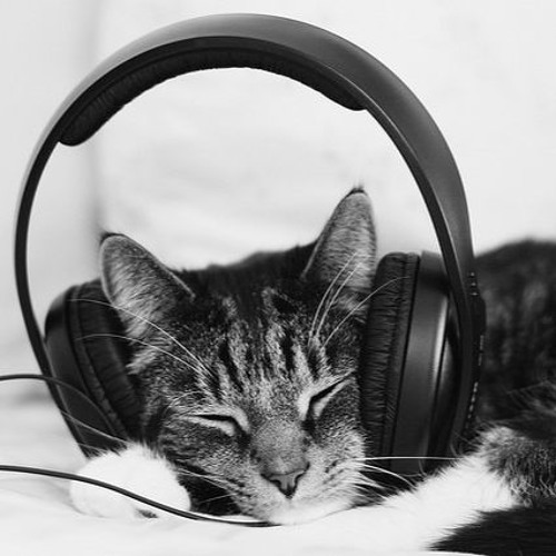 Stream Renzii88 music | Listen to songs, albums, playlists for free on ...