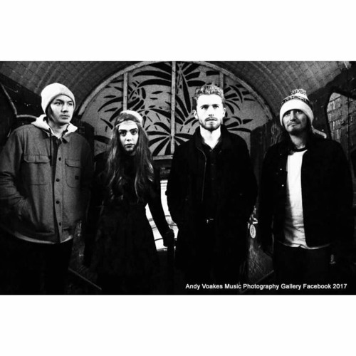 Stream Hava music | Listen to songs, albums, playlists for free on ...