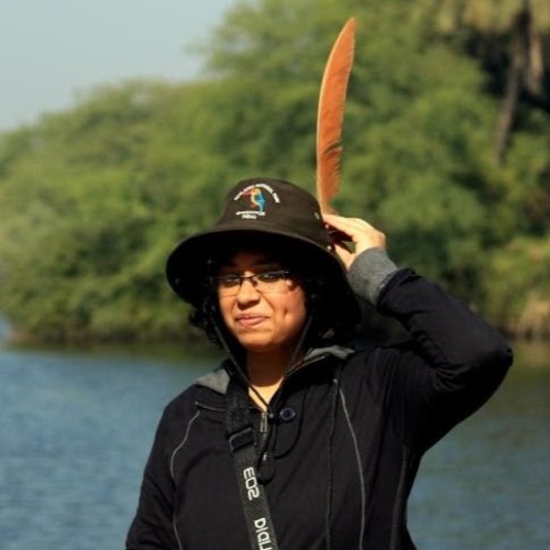 Stream Joshi Meghna music | Listen to songs, albums, playlists for free ...