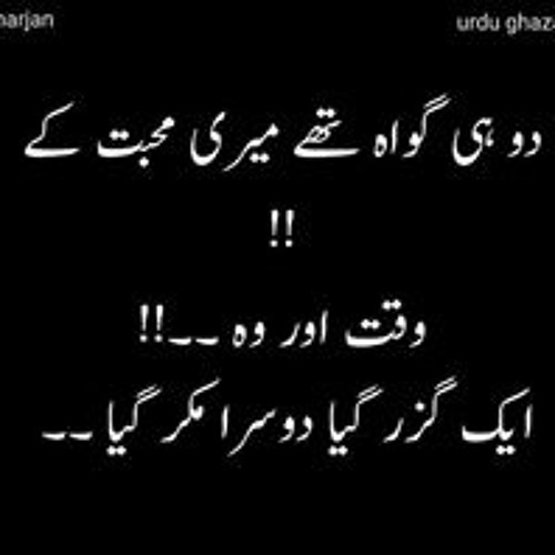 Stream Dr Saira Butt Music Listen To Songs Albums Playlists For
