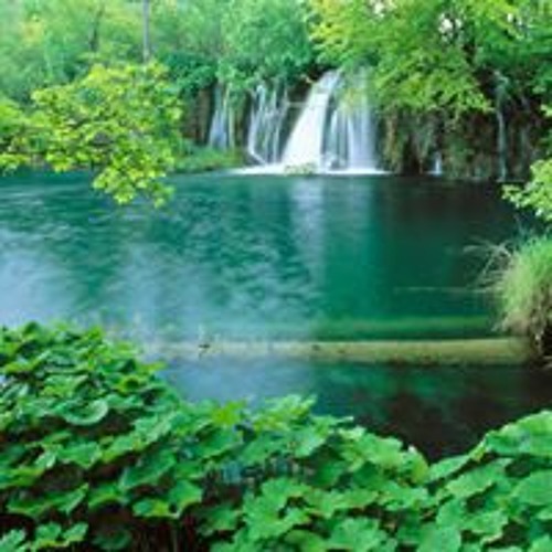 Stream Thida Khaing Soe music | Listen to songs, albums, playlists for ...