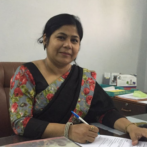 Stream Virtual Academy Moving Forward Through Teacher Entrepreneurial ...