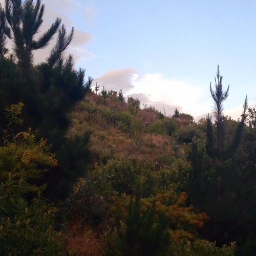 Stream Zunny music | Listen to songs, albums, playlists for free on ...