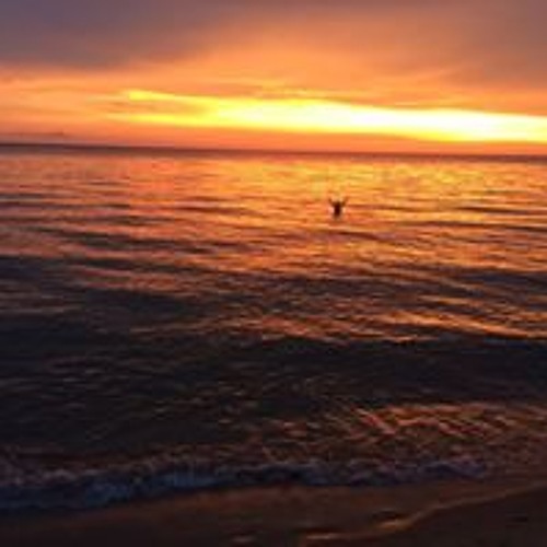 Stream Brigitte Le Roux music | Listen to songs, albums, playlists for ...