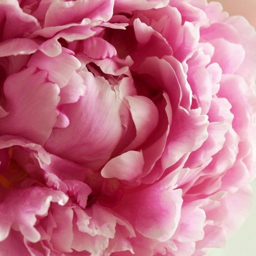 Stream Taylor Eustace music | Listen to songs, albums, playlists for ...