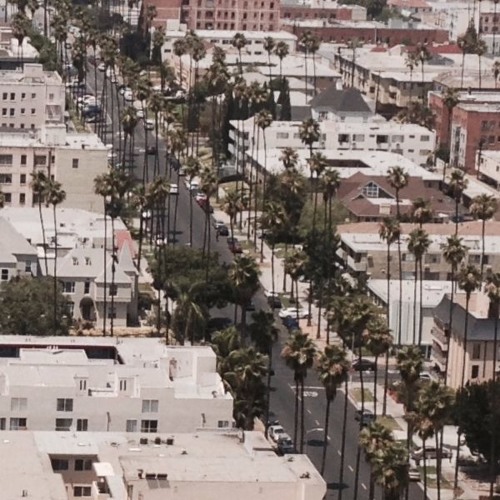 Stream Michael Rhee music | Listen to songs, albums, playlists for free ...