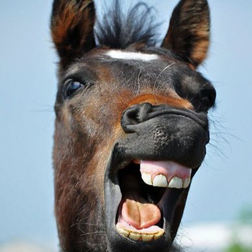 Stream jazzme | Listen to sdfdsfdsf playlist online for free on SoundCloud