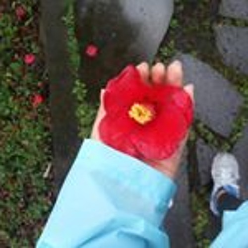 Stream Somi Kim music | Listen to songs, albums, playlists for free on ...