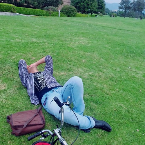 Stream Nicolas Bohorquez Casella music | Listen to songs, albums ...